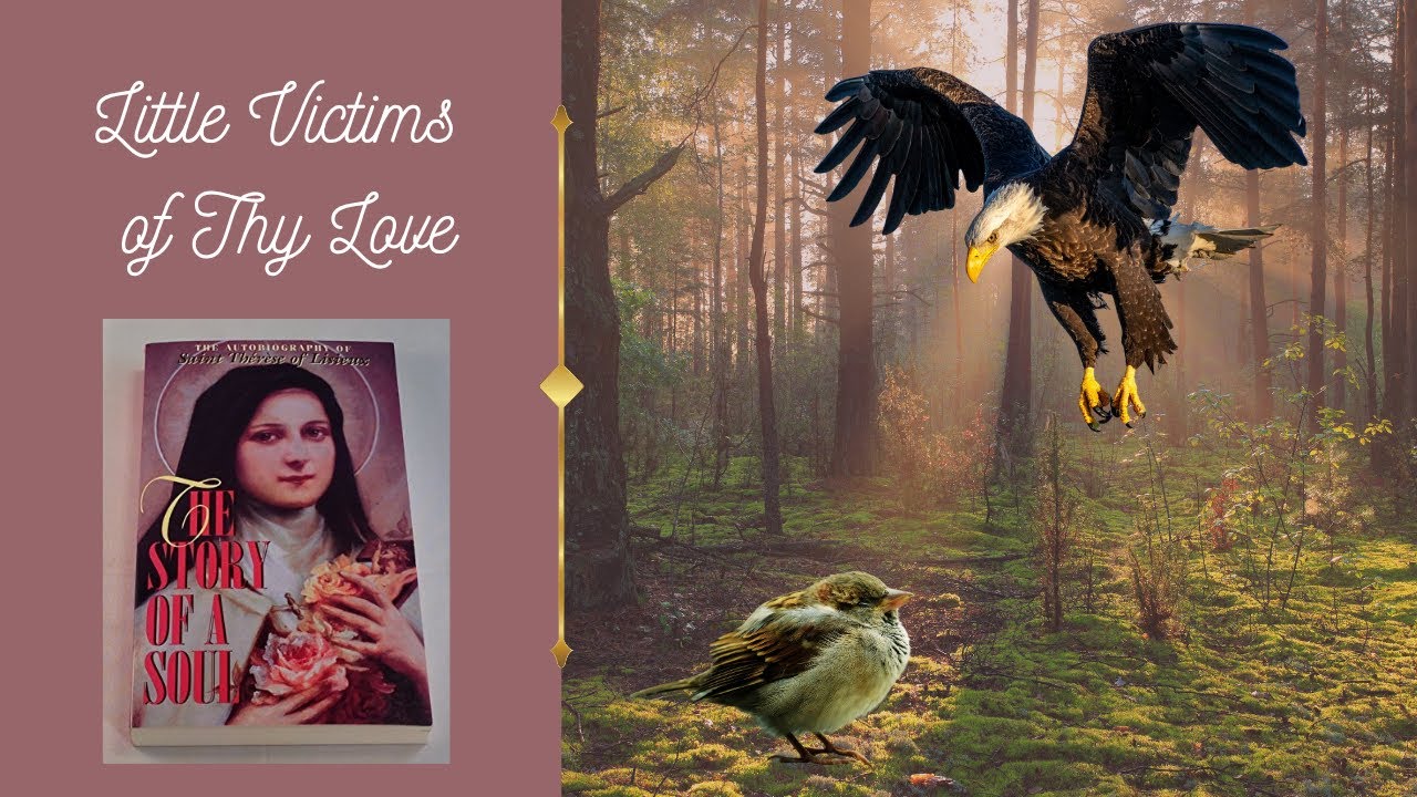 Story of a Soul - Little Bird | A Legion of Little Victims of Thy Love ...