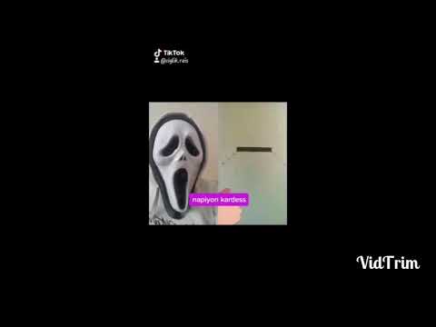 Tiktok ciglik.reis en cok begenilen videolar...
