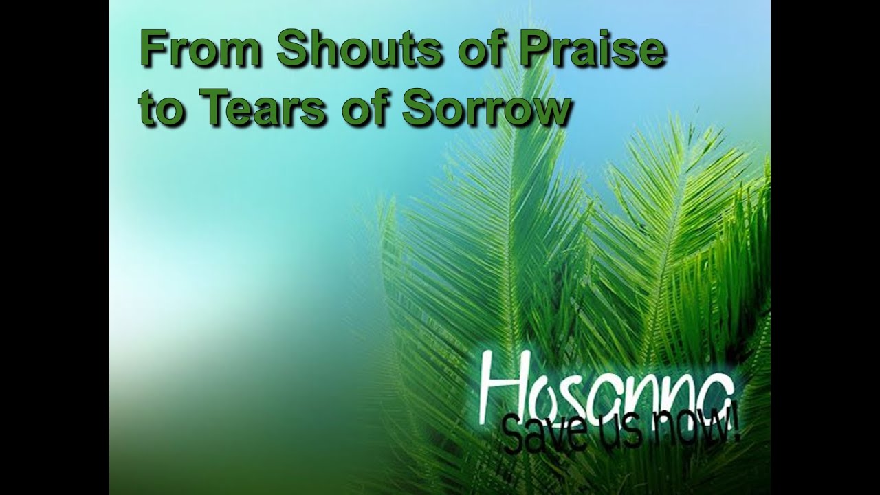 Sunday, March 24, 2024: Luke 19:28-42, From Shouts of Praise to Tears ...