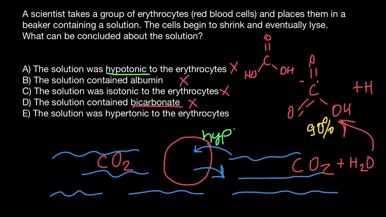 Osmotic pressure: Hypotonic, Isotonic and Hypertonic solutions effect ...