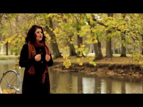 كانی - پایز