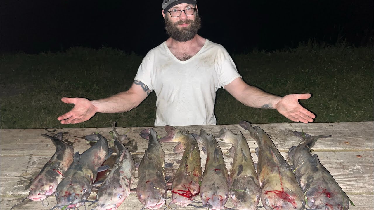 Catfish fever!! Lots of channel catfish on the Rock River - YouTube