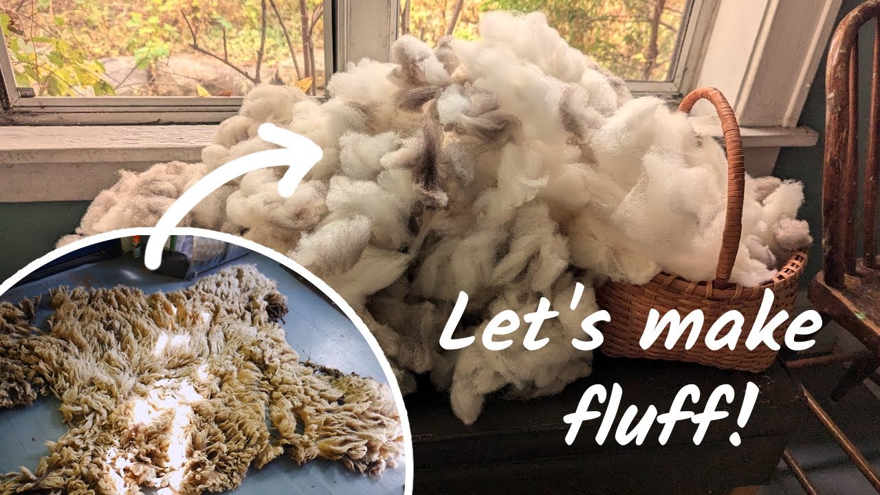 Processing a Raw Sheep Fleece - YouTube
