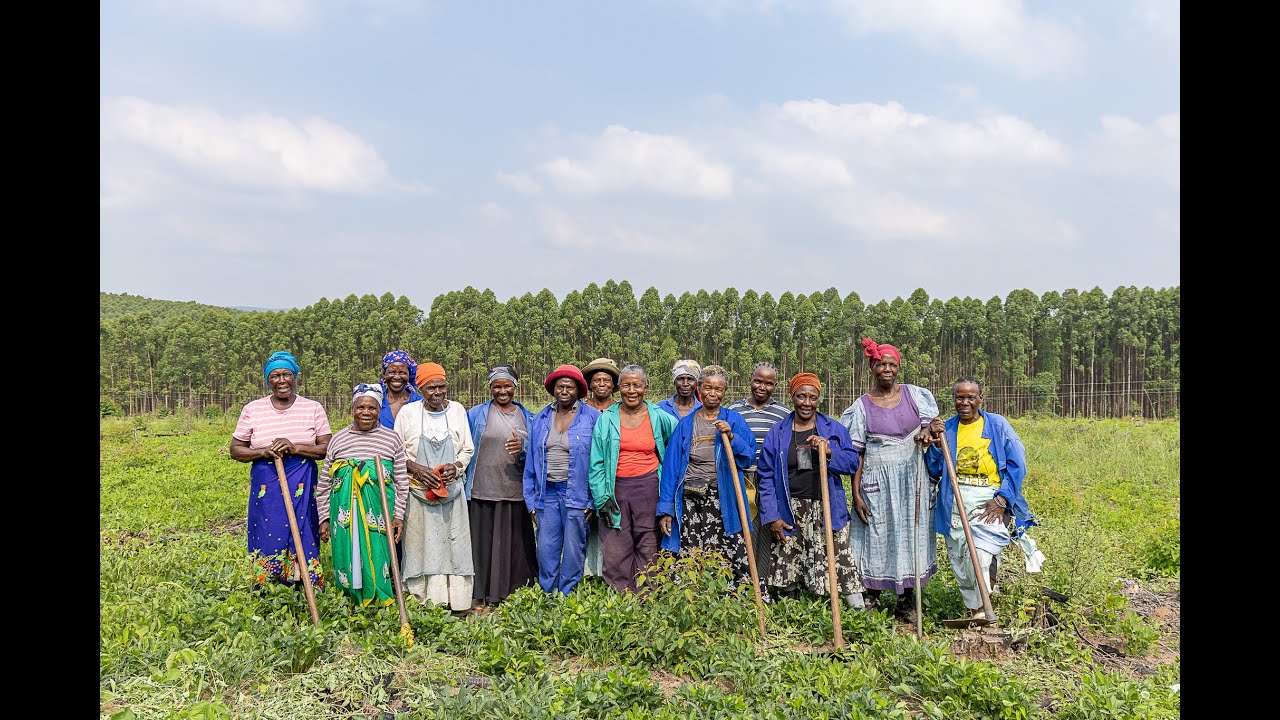 Siyathipilisa Groundnut Project Peanut Butter - YouTube
