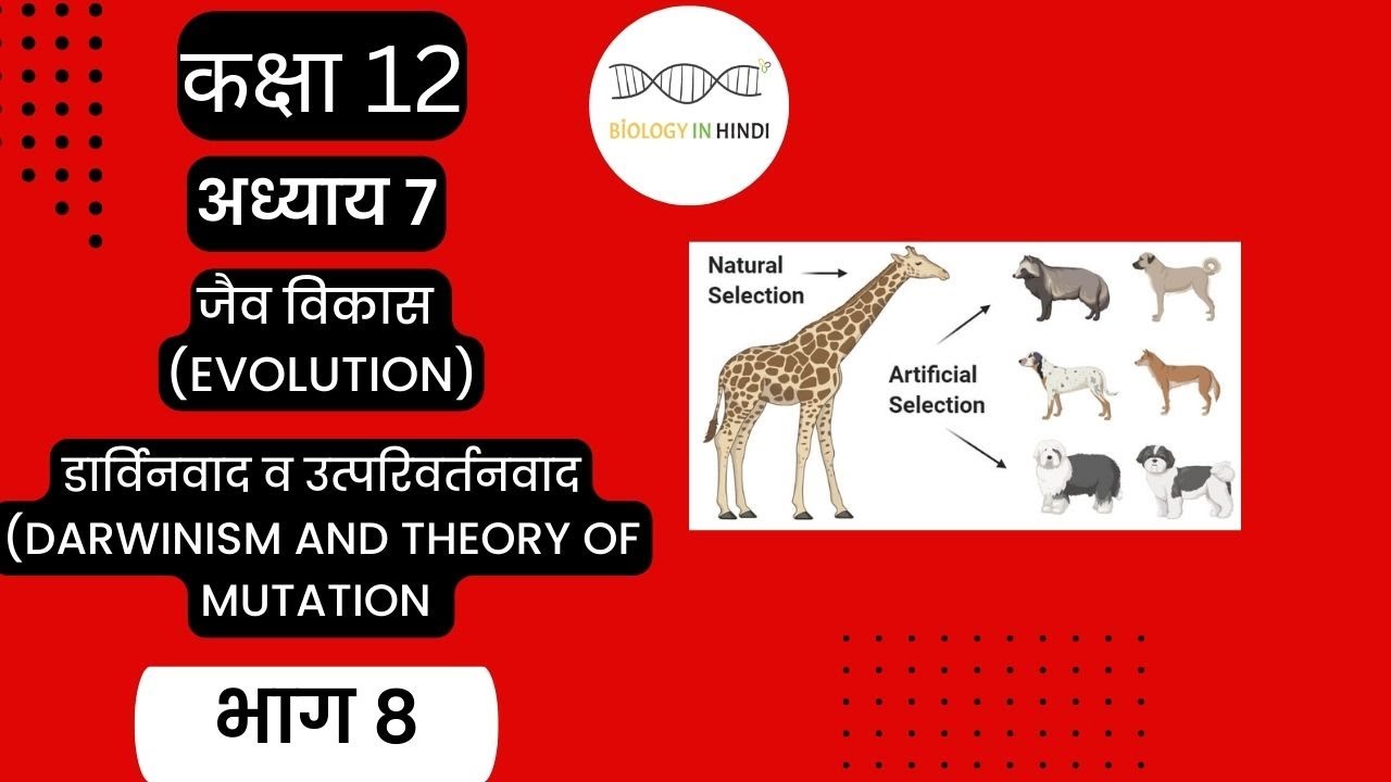 कक्षा 12 अध्याय 7 जैव विकास भाग 8 | Evolution | darwinism | theory of mutation | charles darwin ...