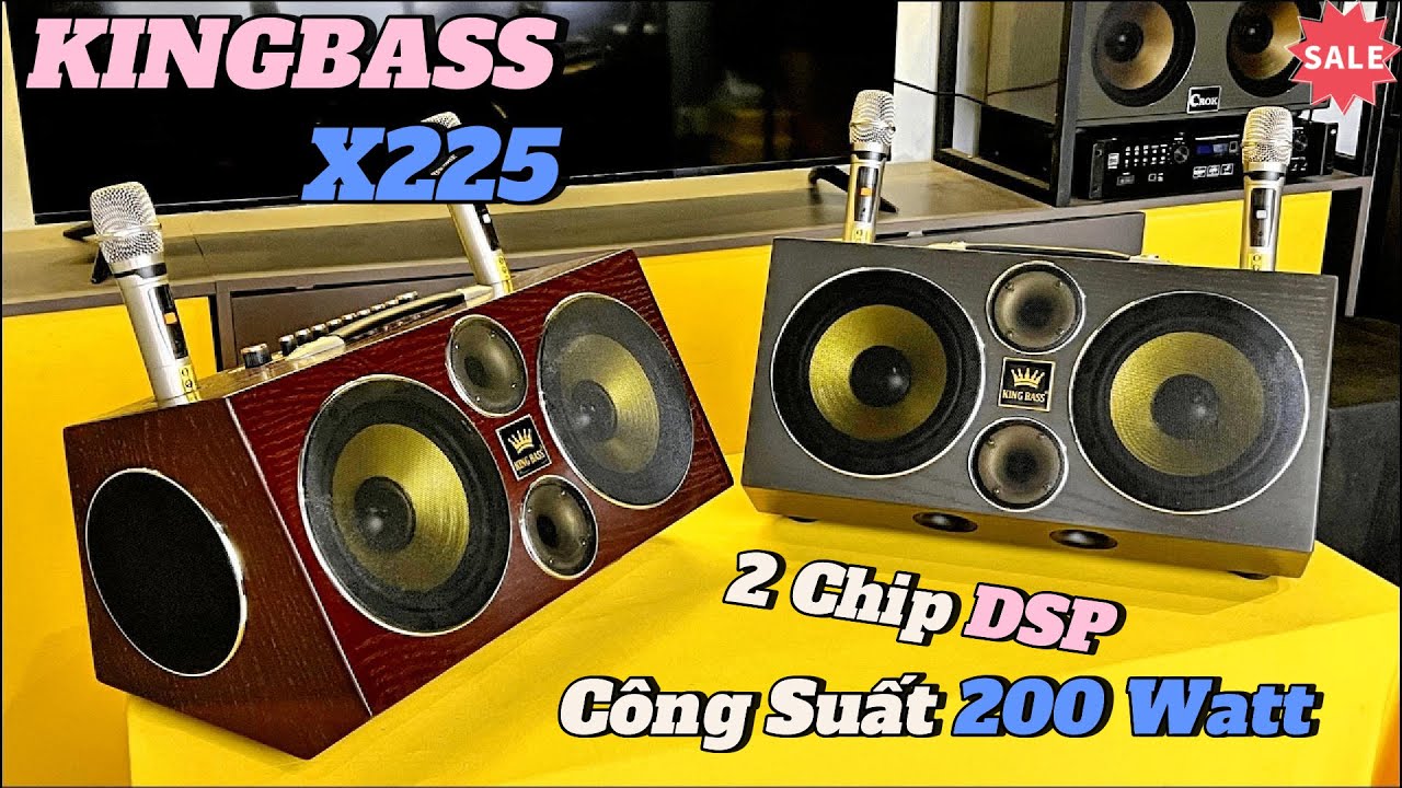 Review Loa Kingbass X225 - Công Suất 200 Watt Tích Hợp 2 Chip DSP Giá ...