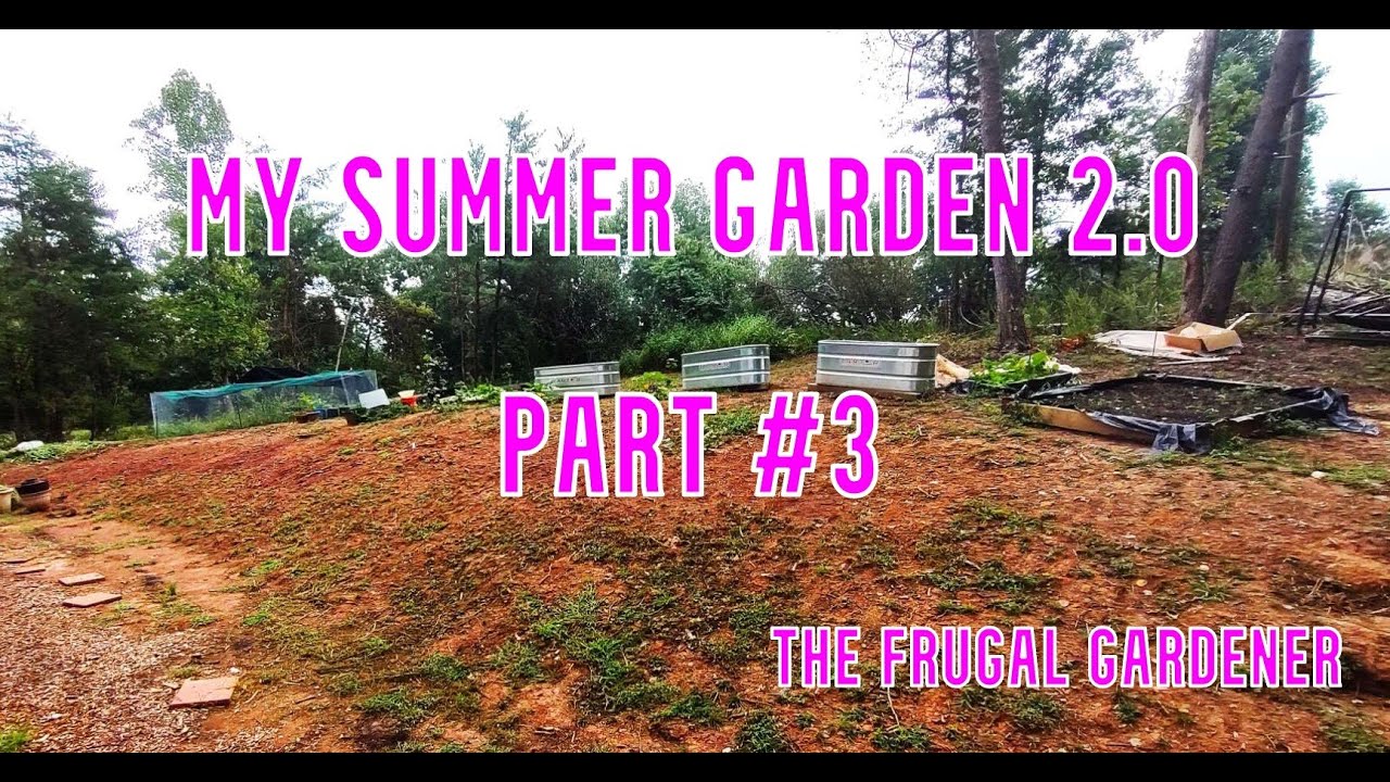 My Summer Garden 2.0 part three - YouTube