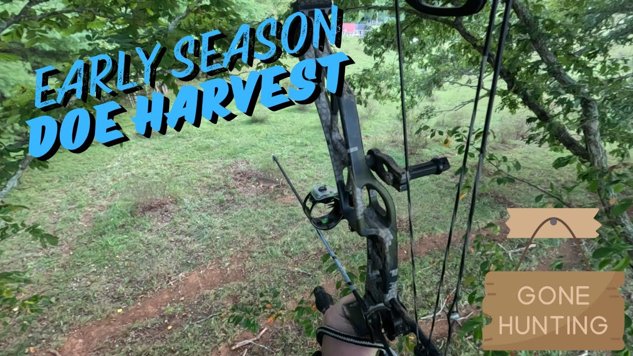 Early Bow Hunt Success GETS MEAT in the Freezer! - YouTube