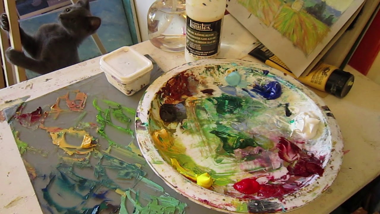 Painting Palette Cam Test with Cat Studio Assistant - YouTube