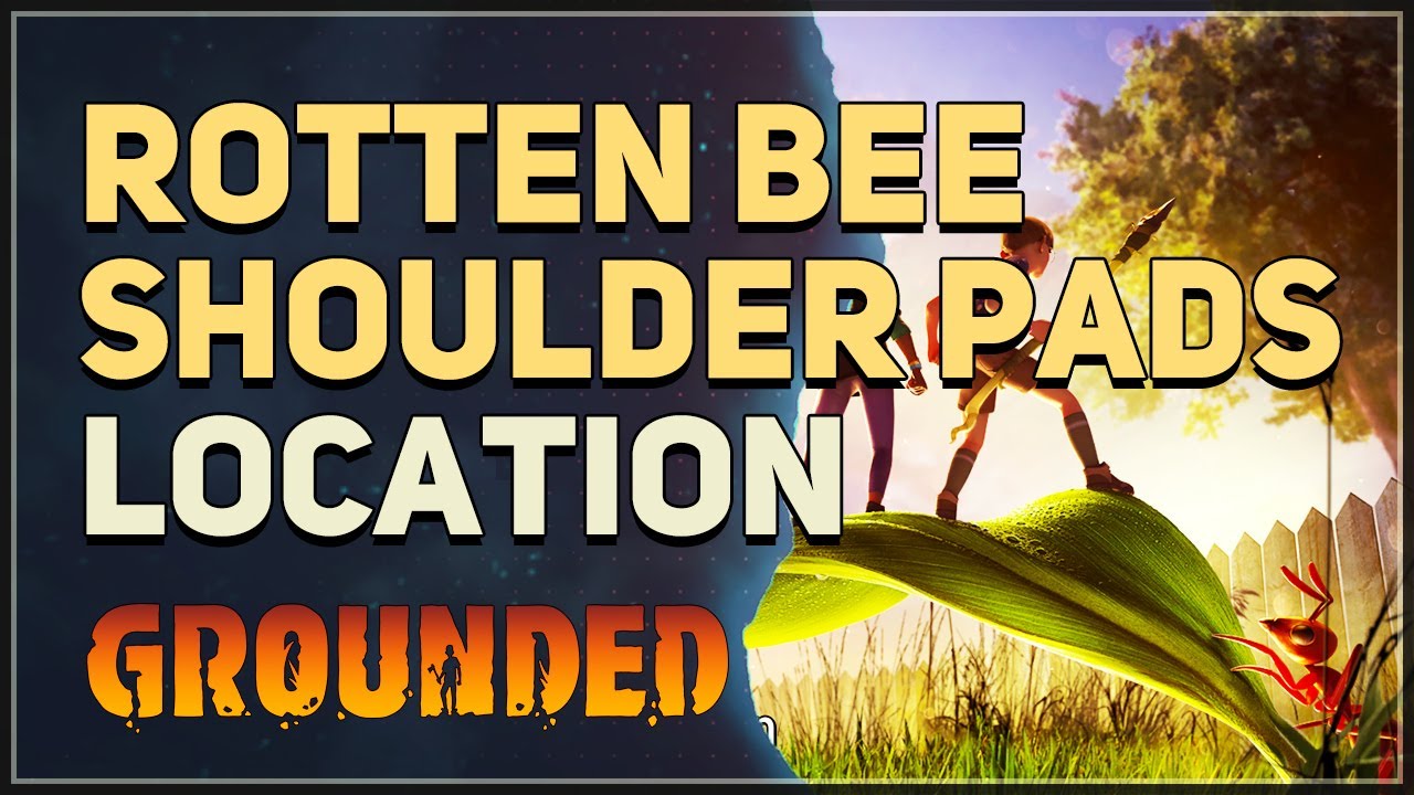 Rotten Bee Shoulder Pads Location Grounded - YouTube