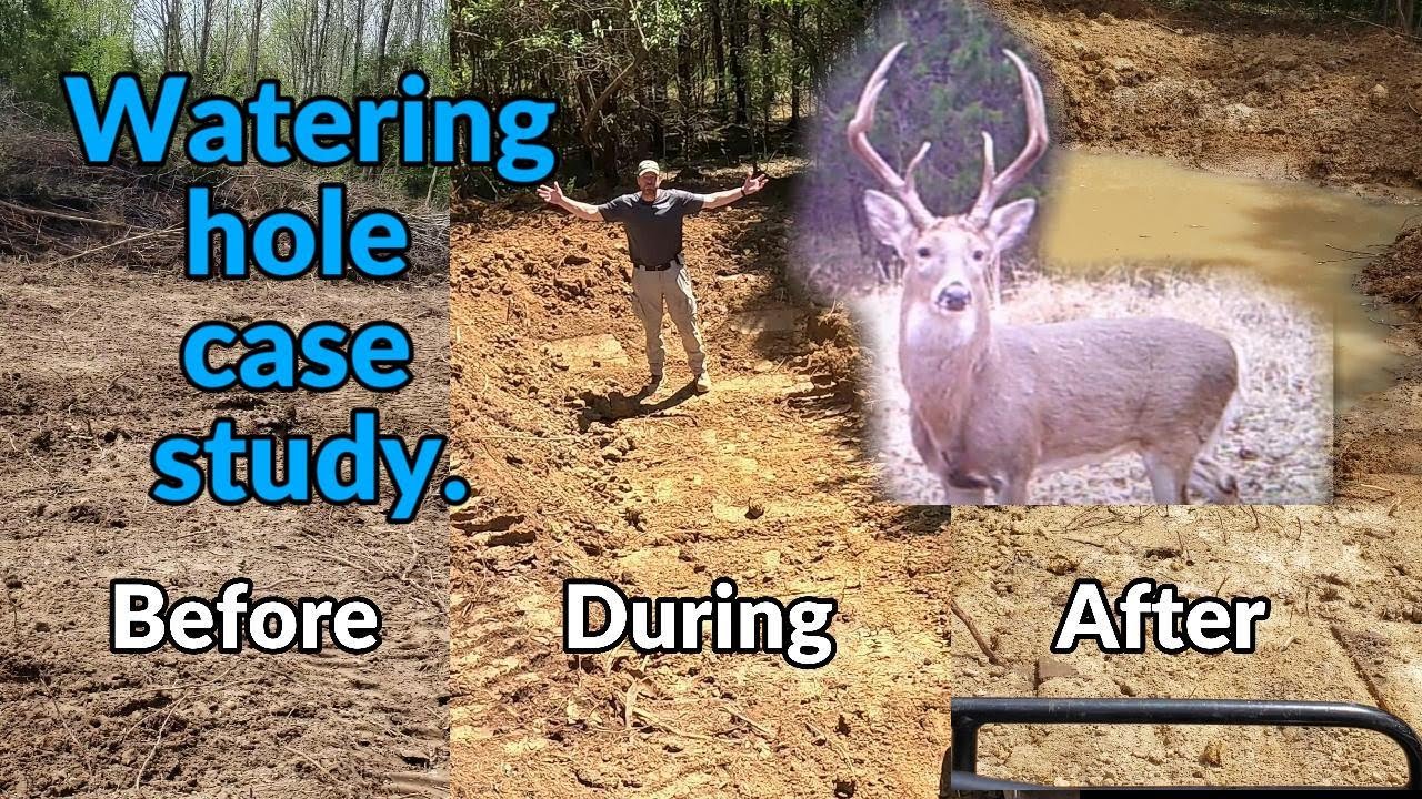 Deer Watering hole case study; Do they work? - YouTube