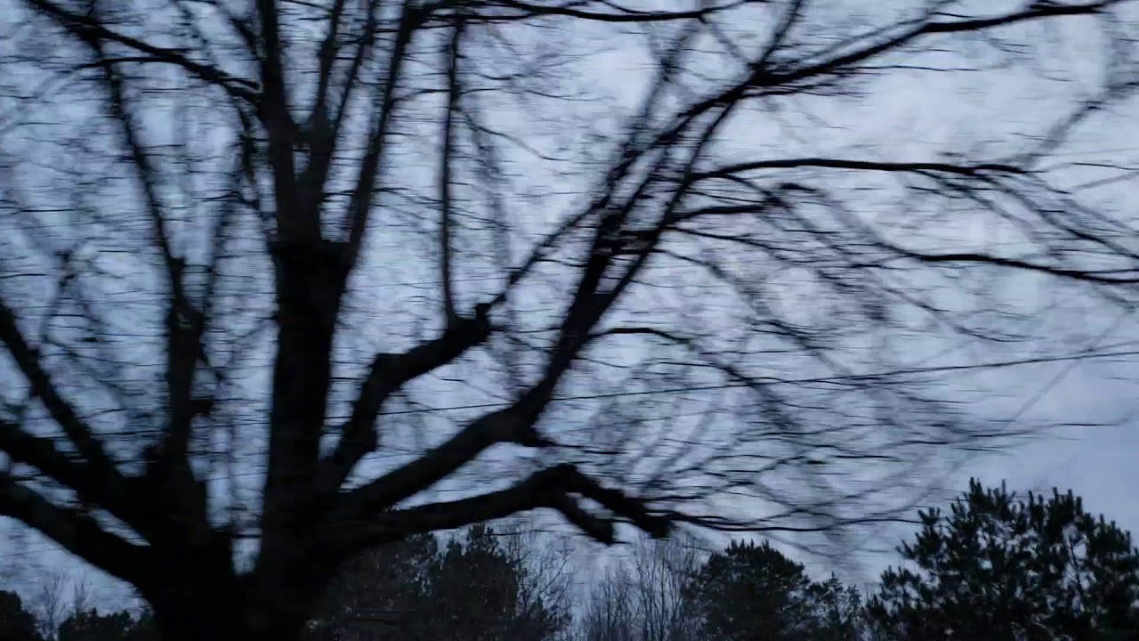 Filament / tendril like veil - electric blue to the eye 12/20/19 - YouTube