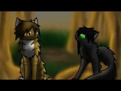 Ashfur and Hollyleaf Animash | Fight Song - YouTube