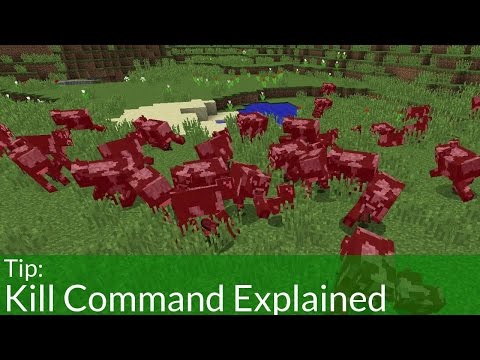 Kill Command Explained
