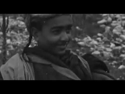 🐝Nizzy Bee 🐝les lions de l'Atlas marocain