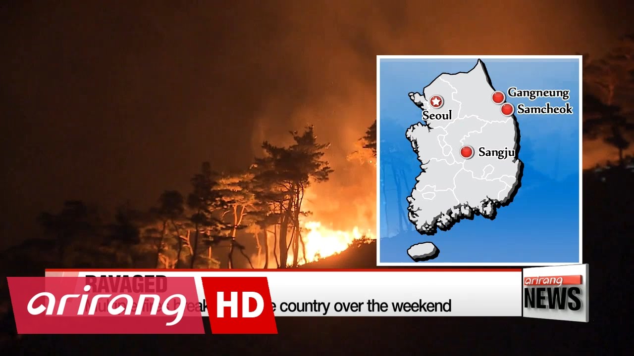 Forest fires continue to rage in eastern Korea - YouTube