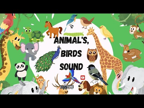 Animals birds name and sound for children in english | cow tiger lion ...