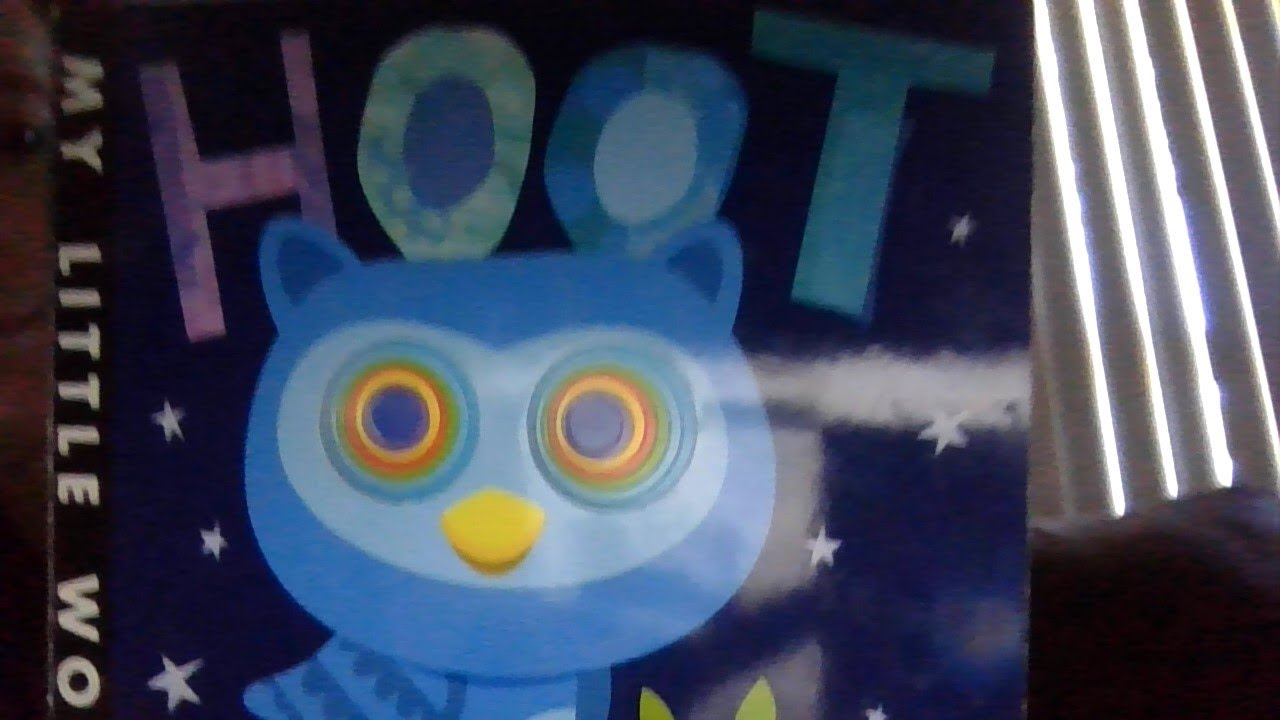HOOT - YouTube