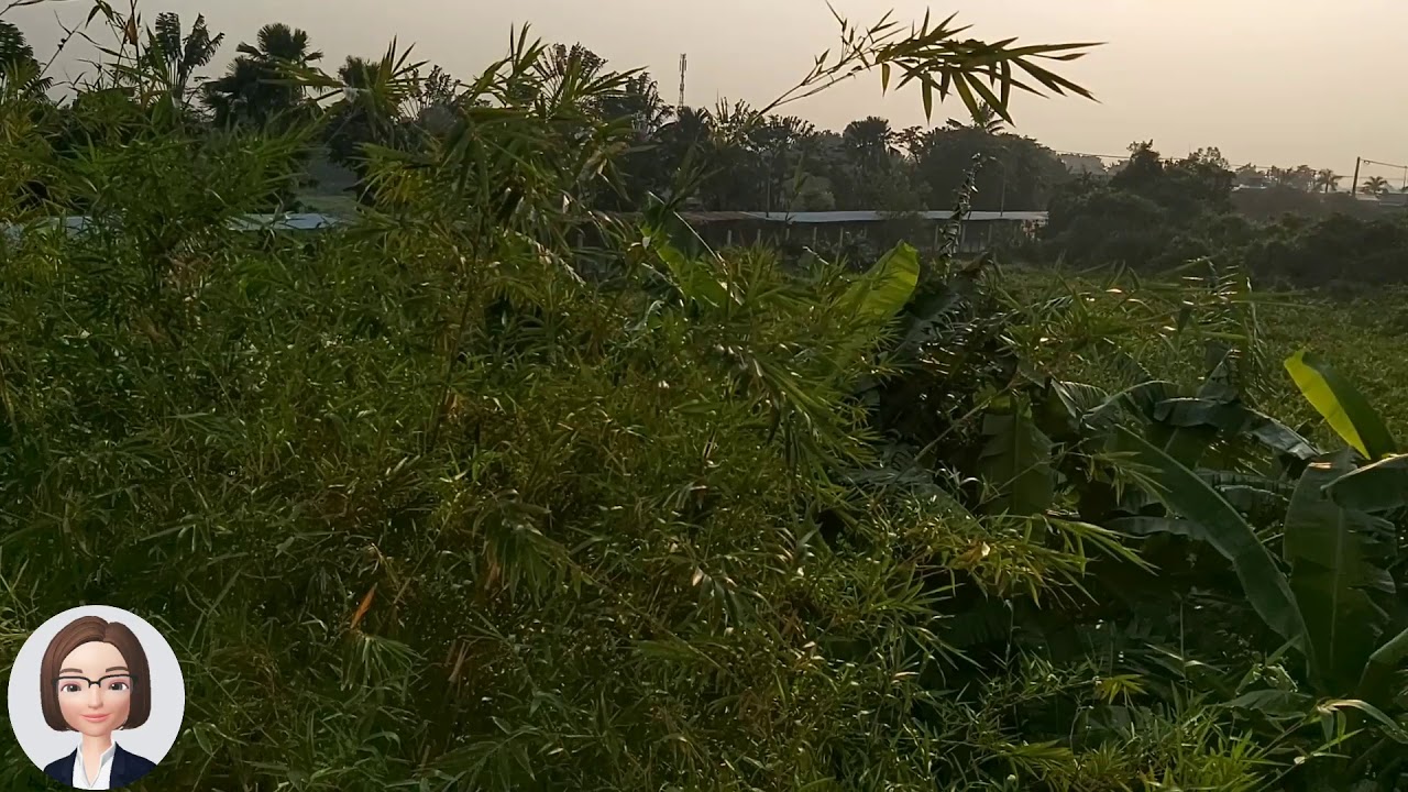 MY EVERYDAY VIEW - YouTube