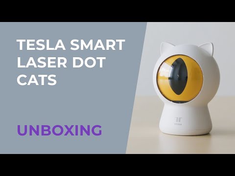 Tesla Smart Laser Dot Cats | Unboxing