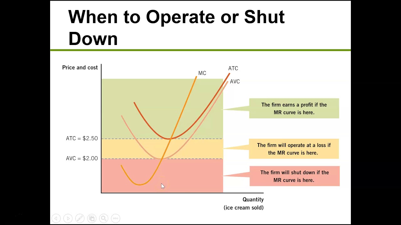 Mateer Coppock Ch 9, Pt 2- Shut down rule and the relationship between ...