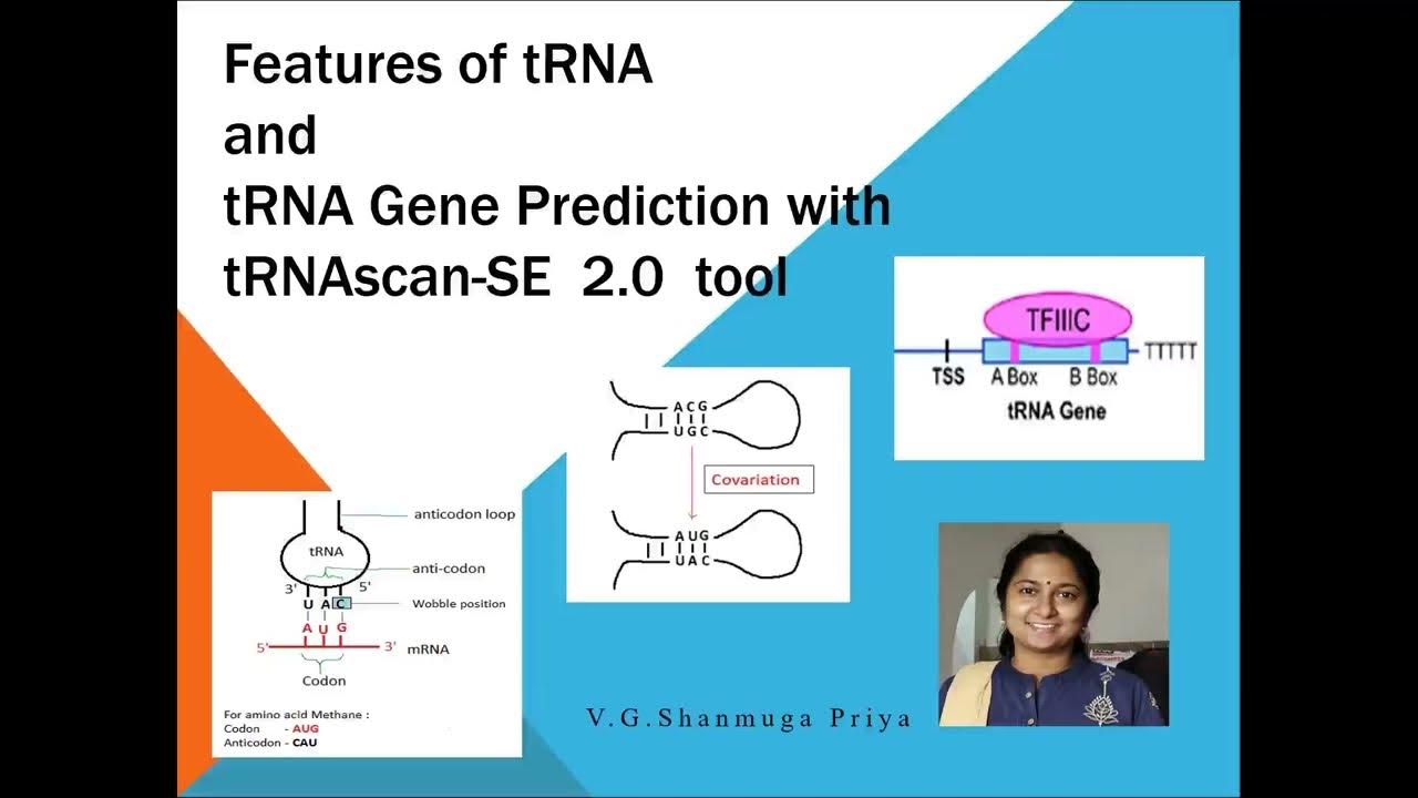 Features of tRNA and tRNA gene prediction with tRNAscan-SE tool - YouTube