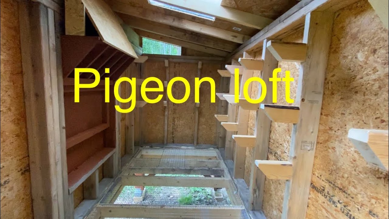 Building a small racing pigeon loft or kit box - YouTube