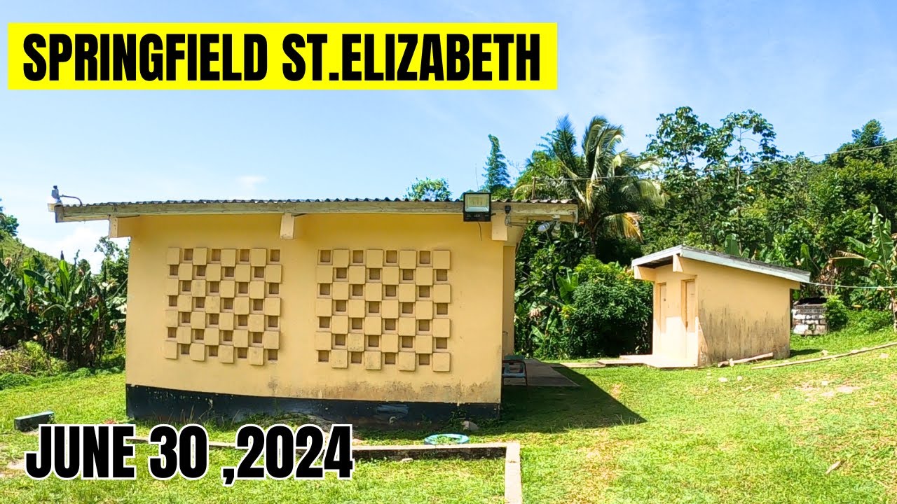 SPRINGFIELD ST.ELIZABETH #JAMAICA - YouTube
