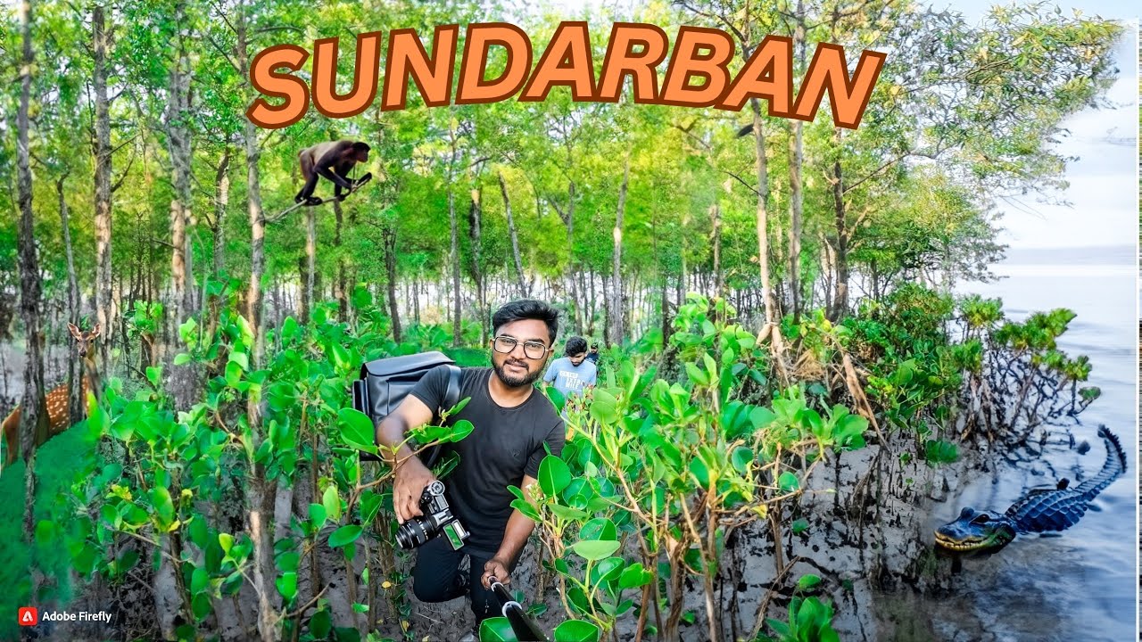 Sundarban Vlog | Kolkata to Sundarban on Bike | Sundarban tour | Part-2 ...