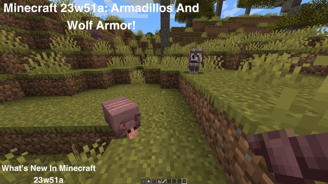 Minecraft 23w51a! Armadillos And Wolf Armor! - YouTube