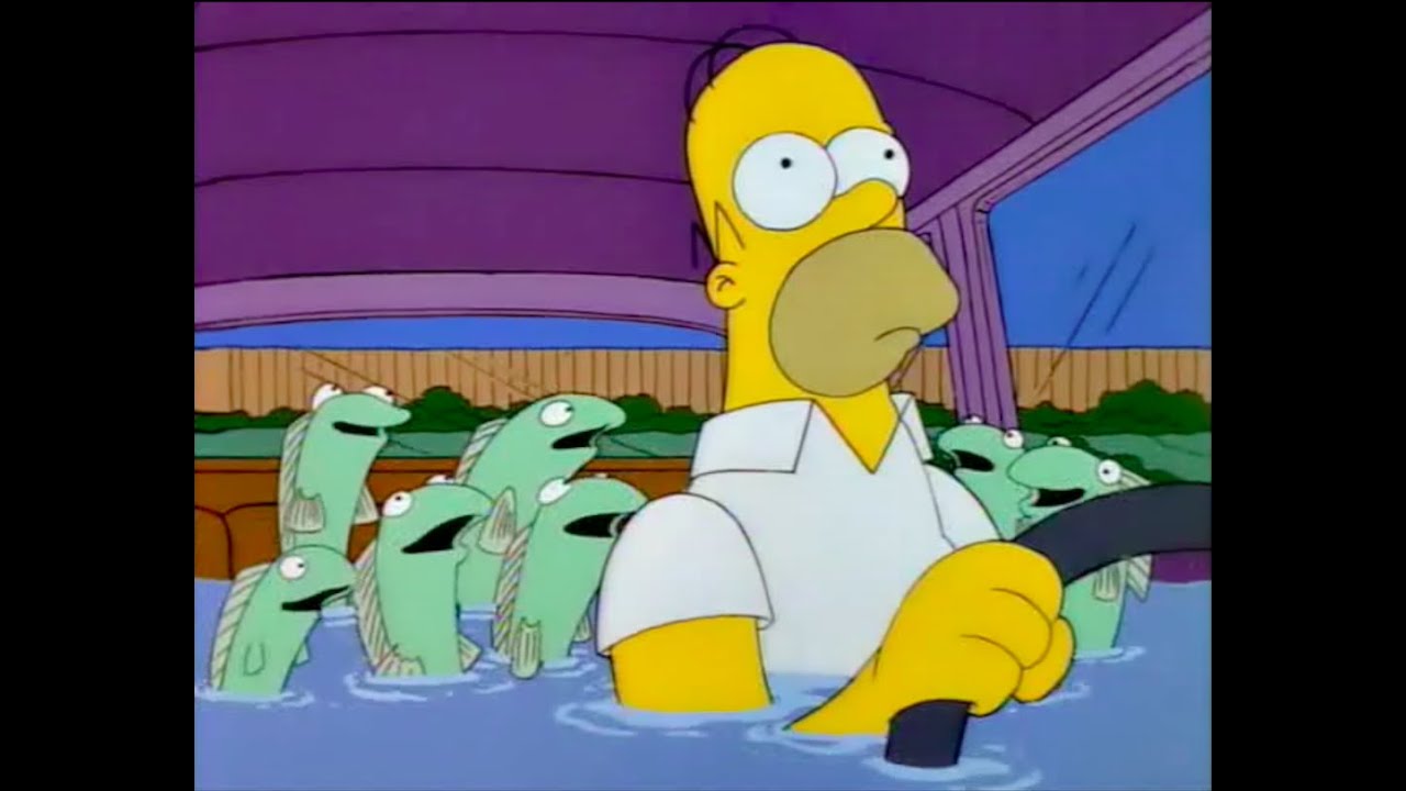 Homer, You're Hallucinating Again - YouTube
