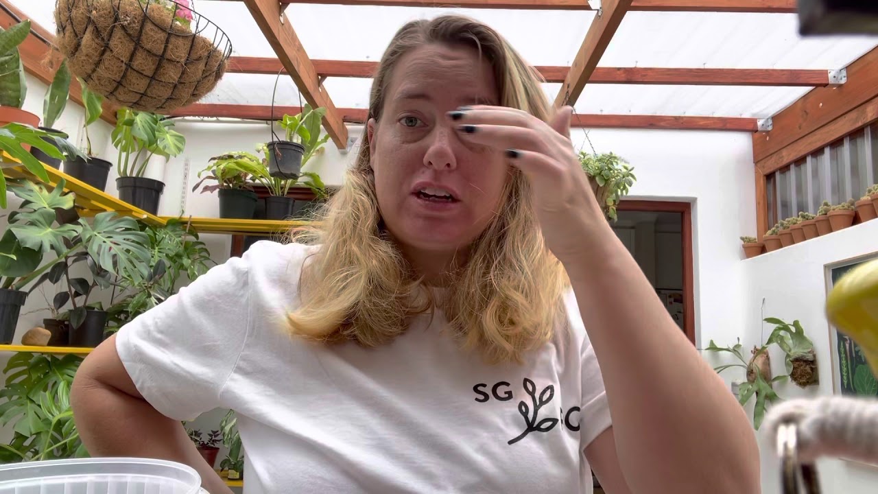 How to root a cutting in perlite - YouTube