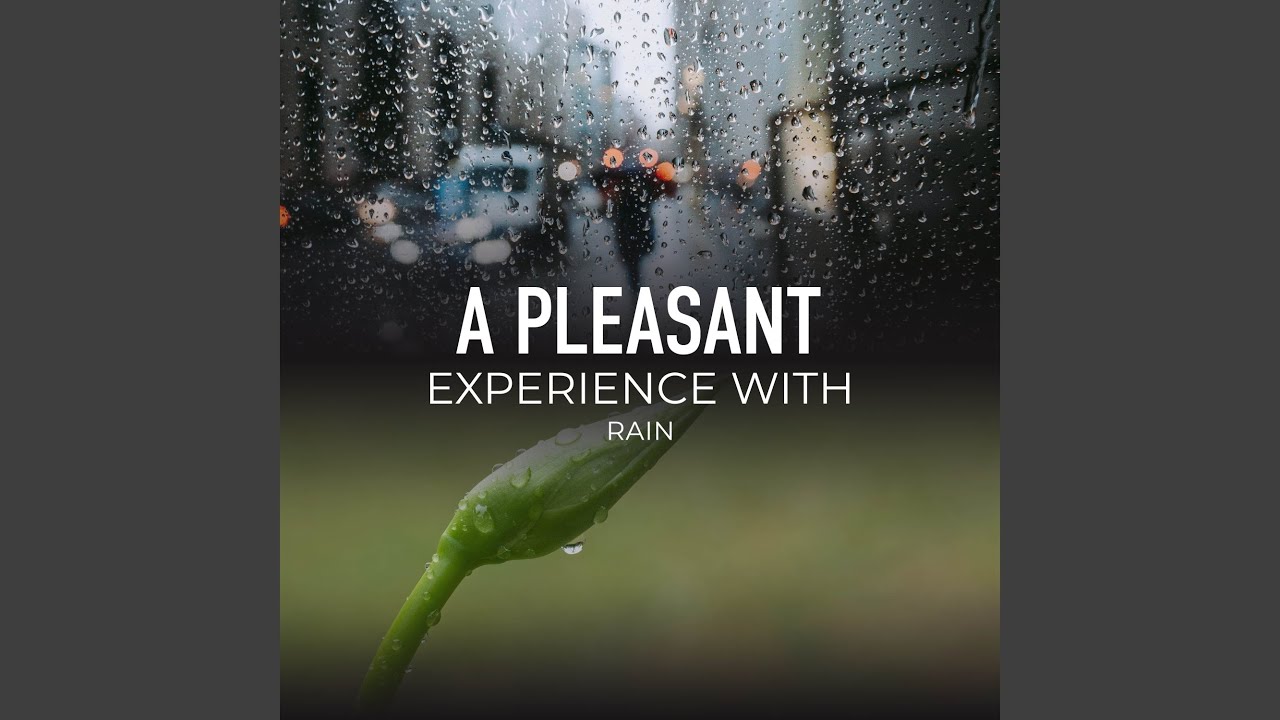 Pleasant Rain Experience - YouTube