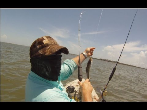 THE HOG ZONE 128!!! Hobie Kayak Fishing Galveston Island State Park ...