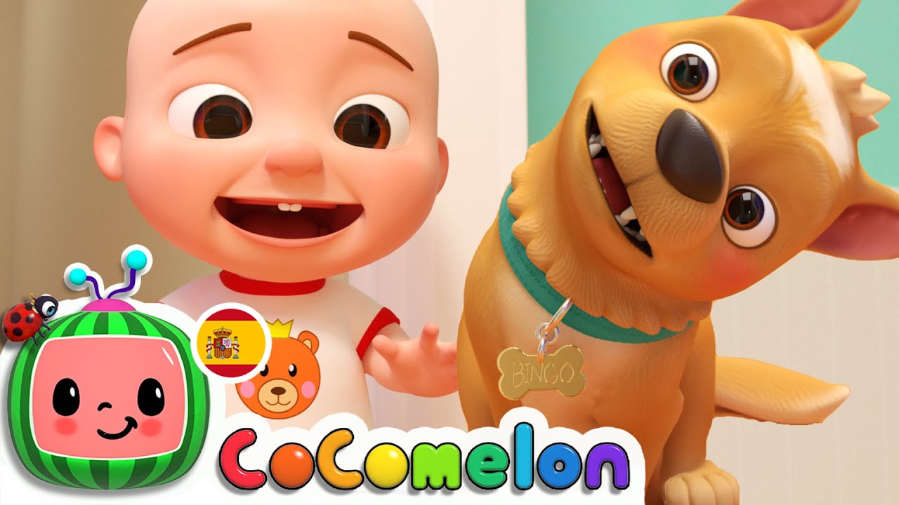 CoComelon en Español | Mi perro, Bingo | Canciones Infantiles - YouTube
