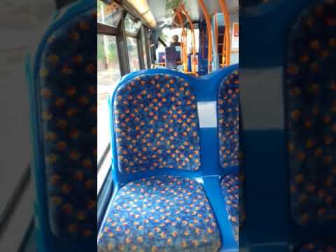 Andee95 - Project bus with smelly socks UK