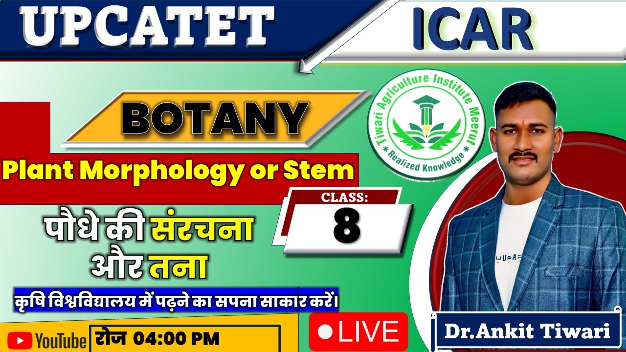 Plant Morphology or Stem (पौधे की संरचना और तना ) Botany Class- 8 ...