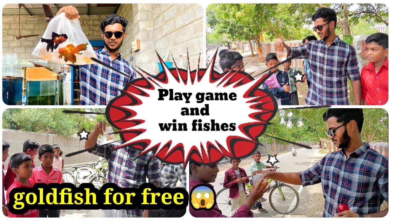 🌈FREE GOLDFISH KOI🌈 | FREE GOLDFISH GIVEWAY | EXOTIC FISH FOR FREE ...