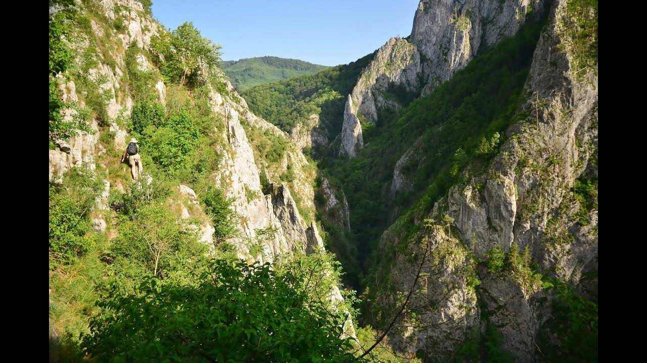 Cheile Rametului - Brana Caprelor - YouTube