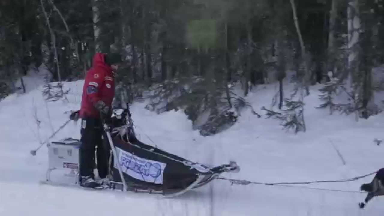 YQ2015 - Lance Mackey on the last leg of the race, 19th February - YouTube