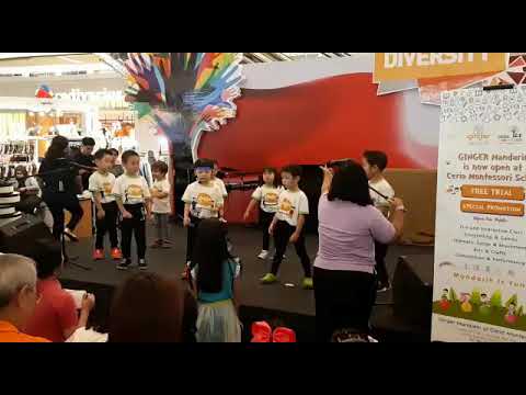 Ginger Mandarin Performance Day 2018 - Bihua Dance - YouTube