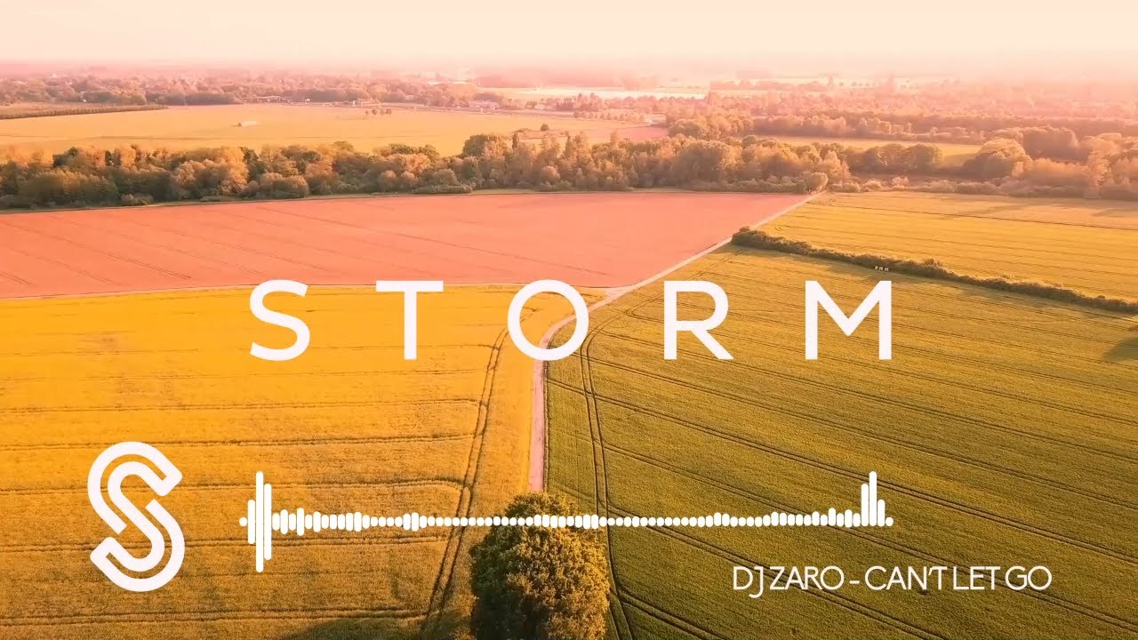 DJ Zaro - Can’t Let Go - YouTube Music