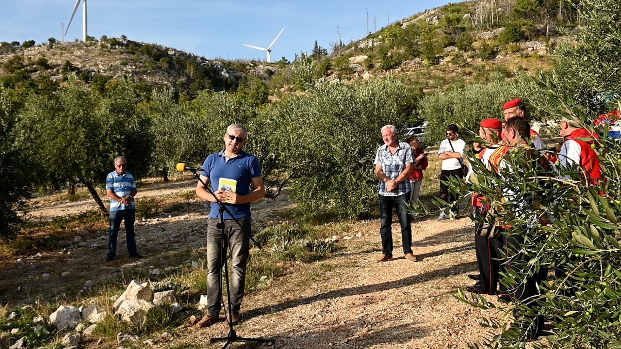 Mladen Vukovic u masliniku Jurin Dvor - YouTube