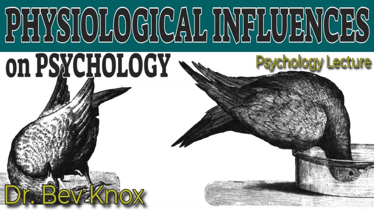Physiological Influences