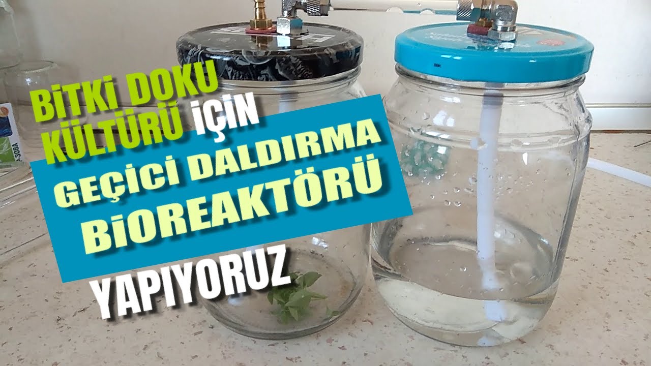 Geçici Daldırma Biyoreaktörümüzü (Temporary Immersion System) Yapıyoruz ...