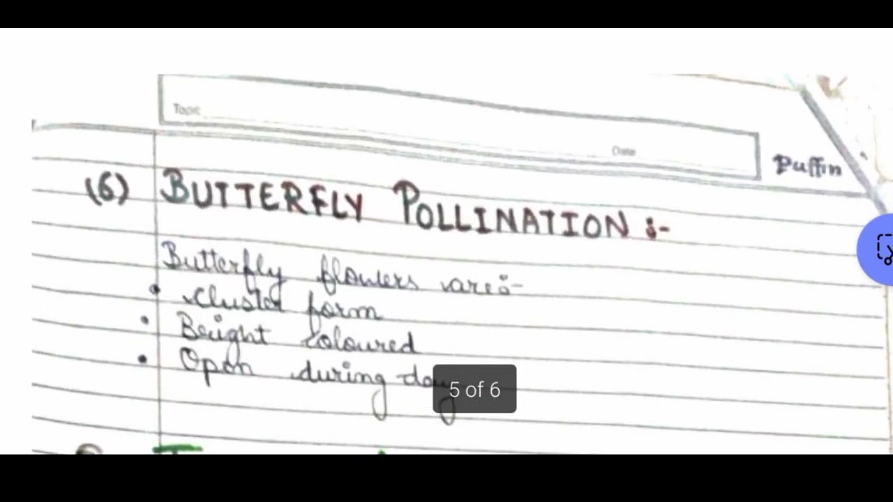 Type of pollinator msc botany ecology #msc #ecolgy@science-p-t - YouTube