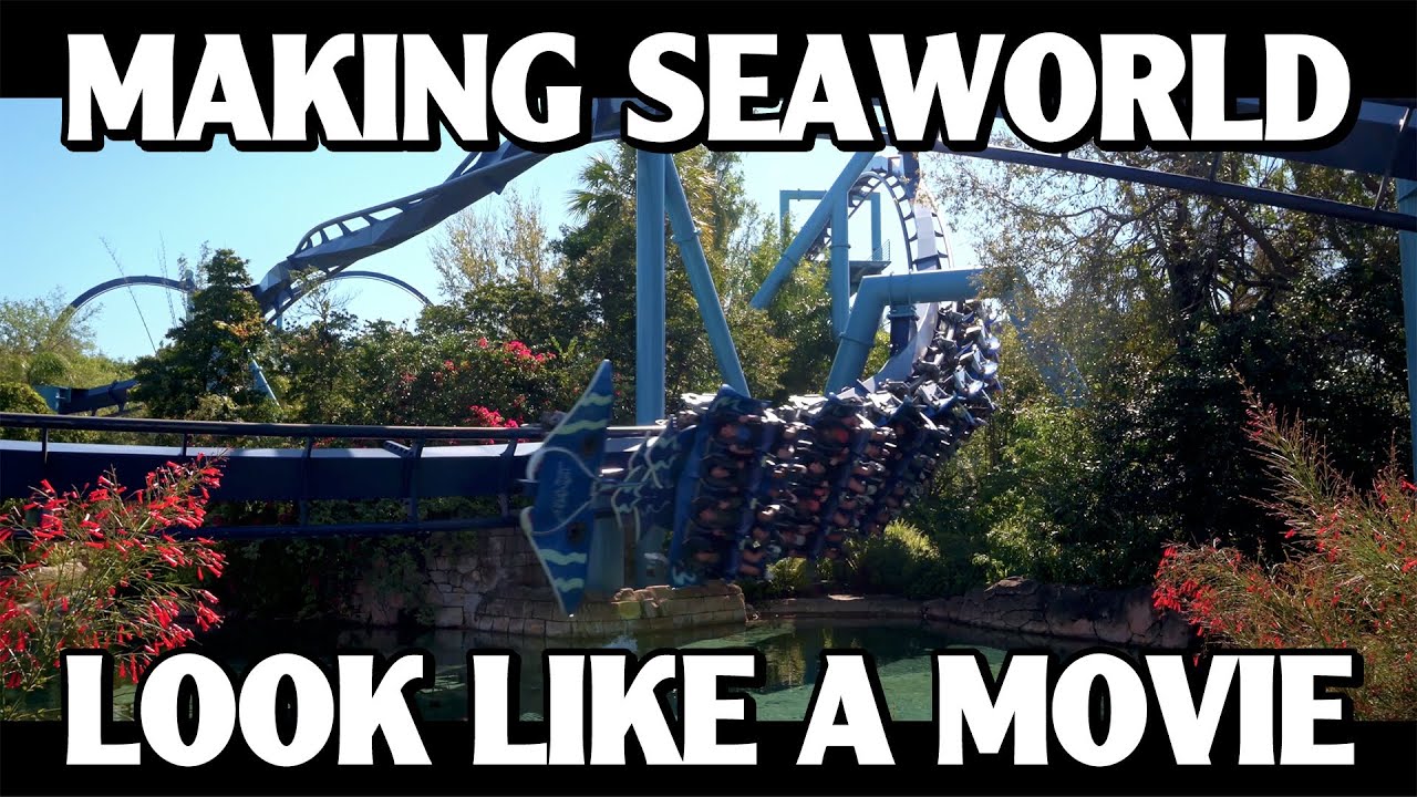 Making SeaWorld Orlando Look Like a Movie | 4K Cinematic Footage - YouTube