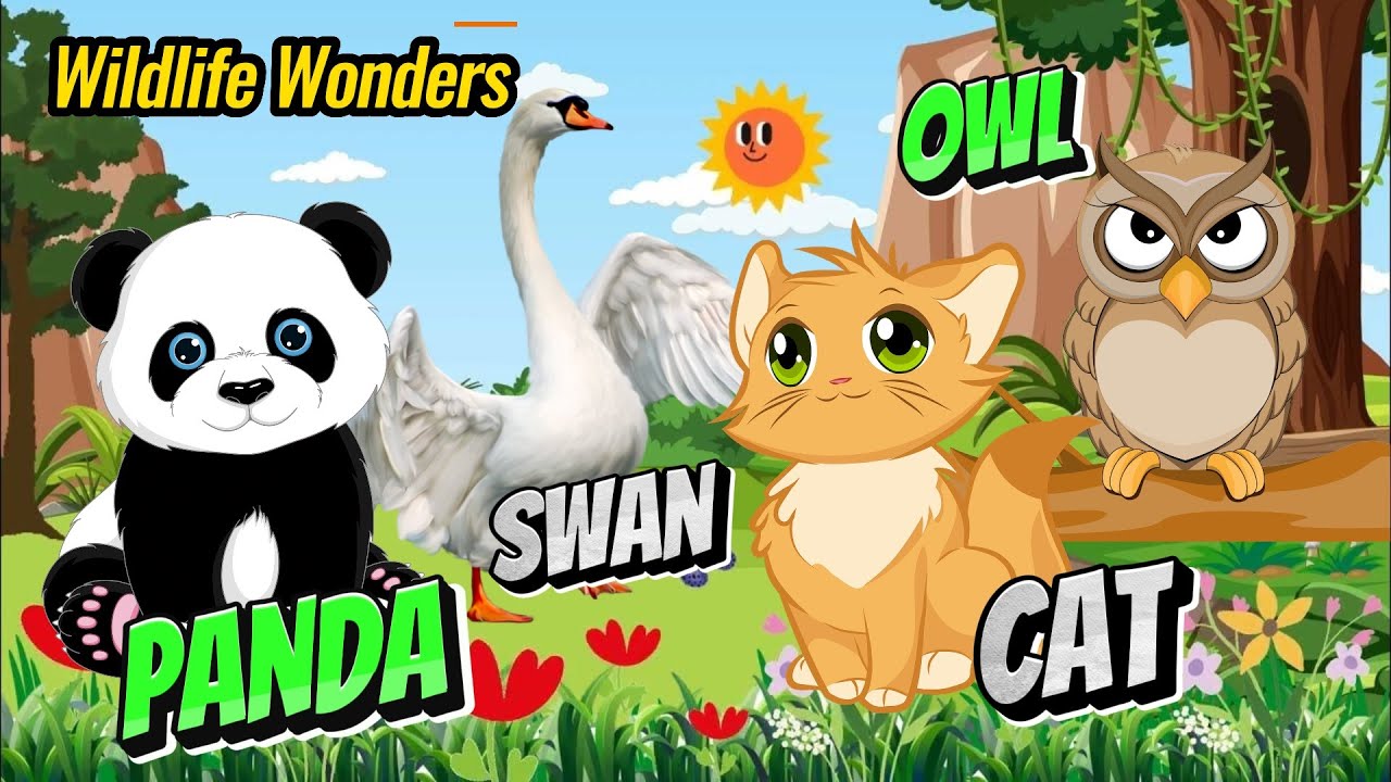 ANIMAL SOUNDS : PANDA OWL CAT SWAN - YouTube