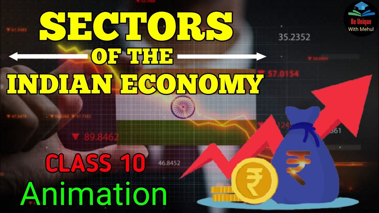 Sectors of Indian Economy 💸(Animation)||Class 10 Economics CH-2 || In ...