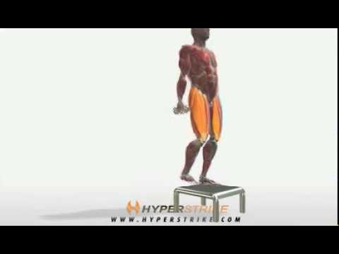 Exercise Videos- Dumbbell Step Up - YouTube